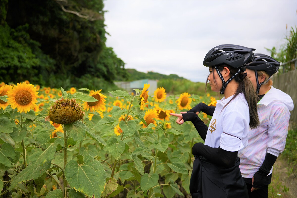 Have a relaxing ride on an electric bicycle! Explore Okinawa at your own pace! ~Popular 16 Inch ...
