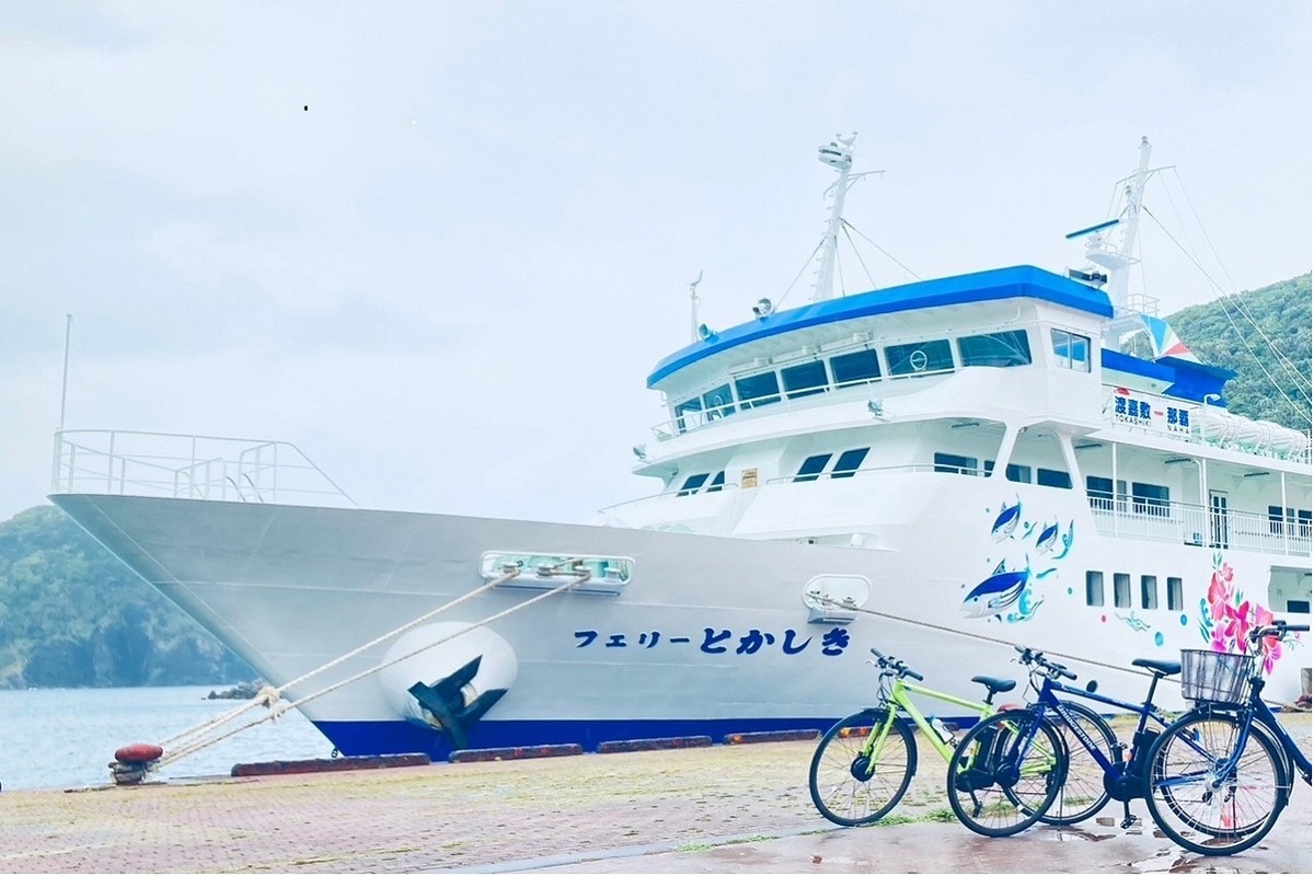 Have a relaxing ride on an electric bicycle! Explore Okinawa at your own pace! ~Popular 16 Inch ...
