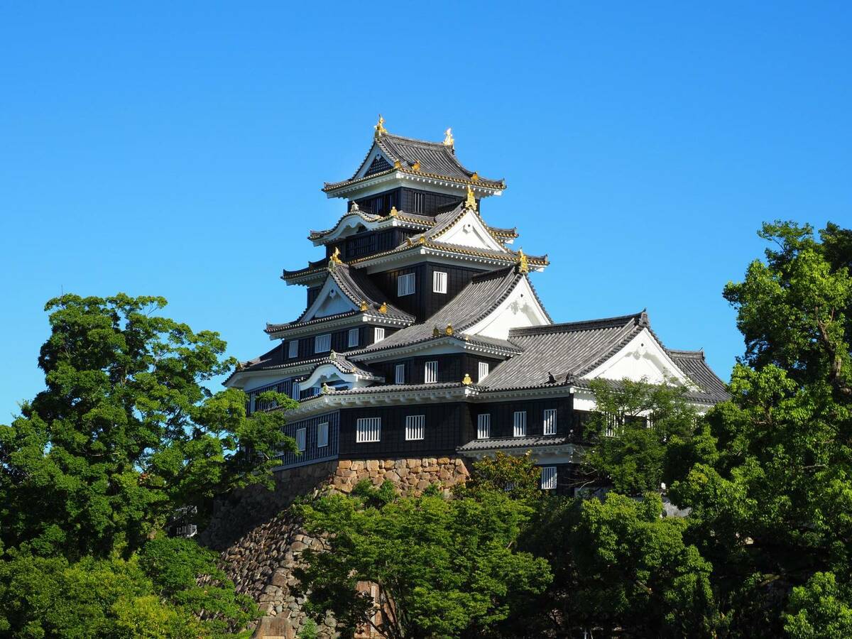 [Ages 6-14] Admission ticket to Okayama Castle Tenshukaku, a famous ...