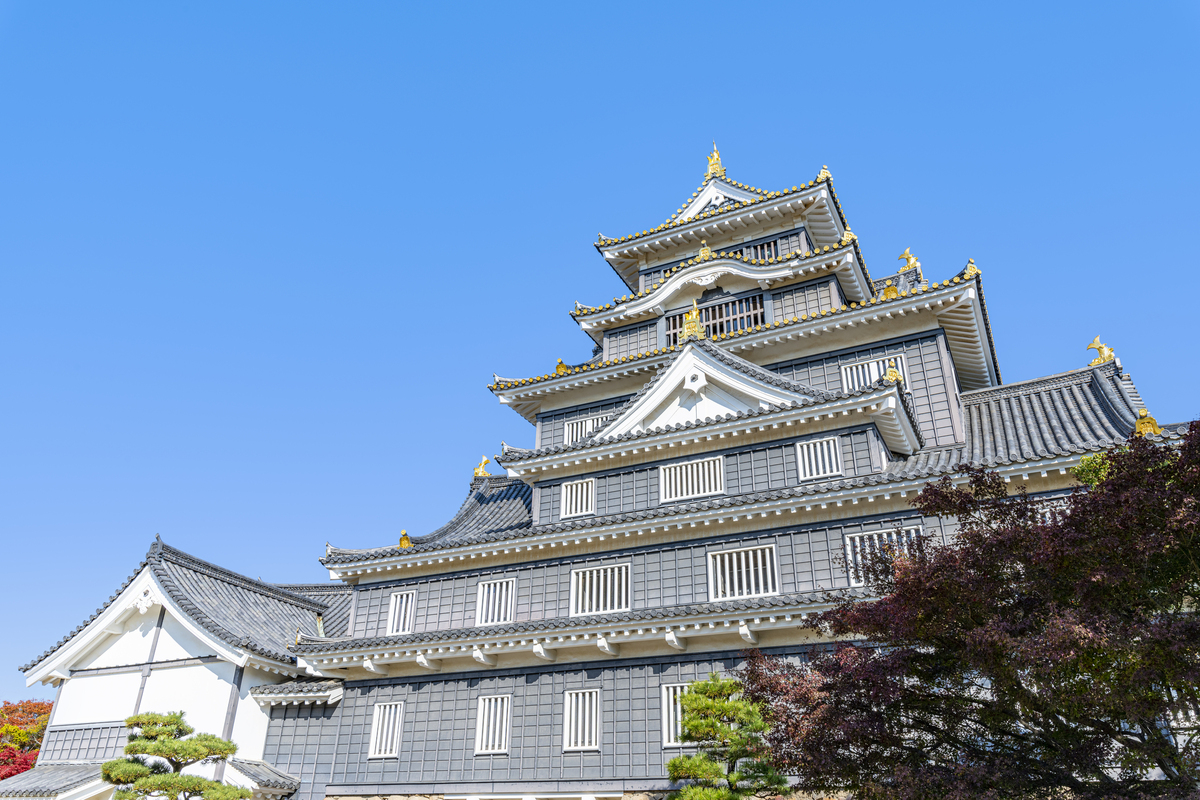 [Ages 6-14] Admission ticket to Okayama Castle Tenshukaku, a famous ...