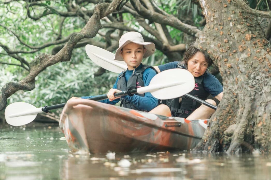 Classic tour of Iriomote Island! SUP or Canoe Cruising Tour to enjoy the World Heritage Site ...