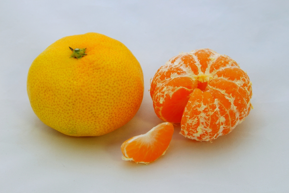 Mandarin Orange Juice & RebOrange (Mandarin Orange Oil) Making Activity ...