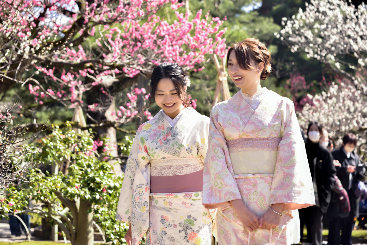 [Akihabara Kanda Myojin] Bundle deal: Enjoy kimono at a great value for ...